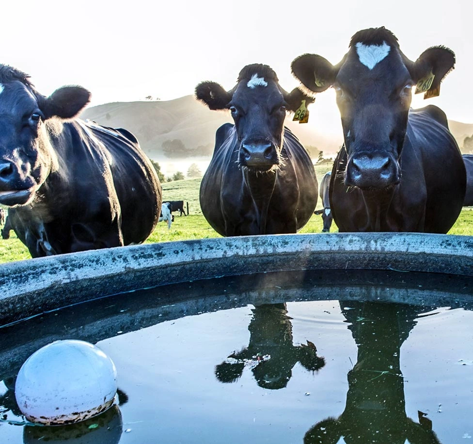 Inline dosing systems from MixRite - WordRight Blog Services